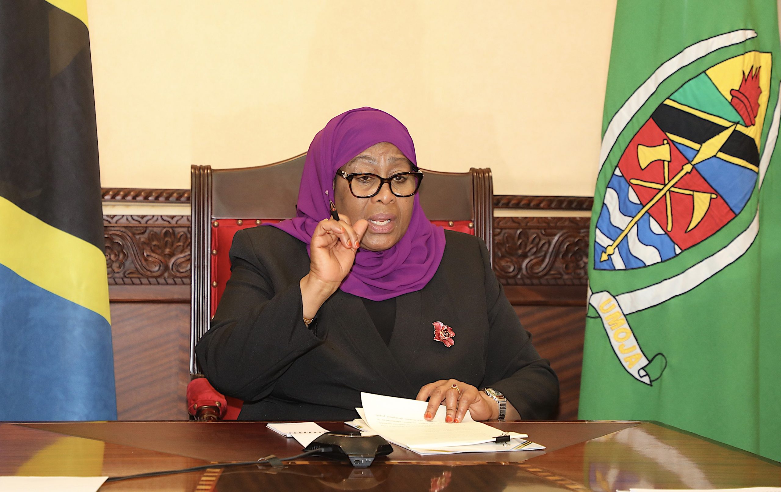 MIRABAHA: KWA NINI MAMA SAMIA AJENGEWE SANAMU KIBAHA? – Full Shangwe Blog