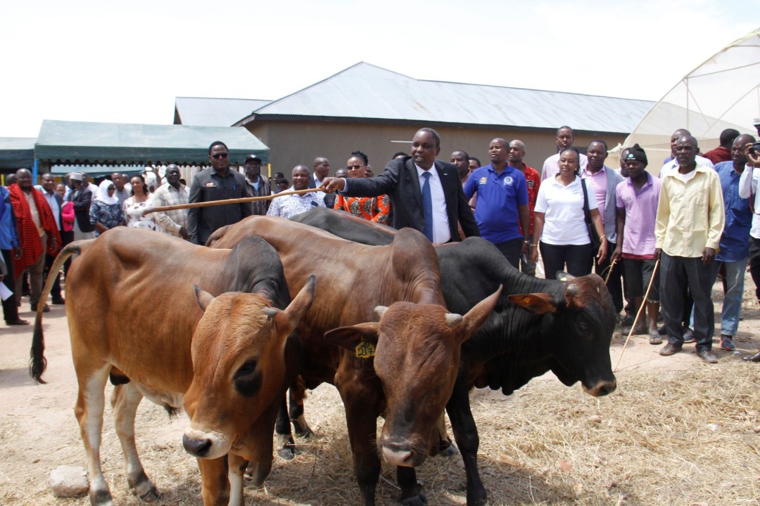 WAZIRI NDAKI AGAWA MADUME YA NG’OMBE KWA VIKUNDI VYA WAFUGAJI CHAMWINO ...