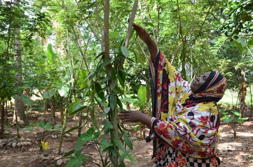JAMII YANUFAIKA NA MRADI WA VIUNGO – Full Shangwe Blog