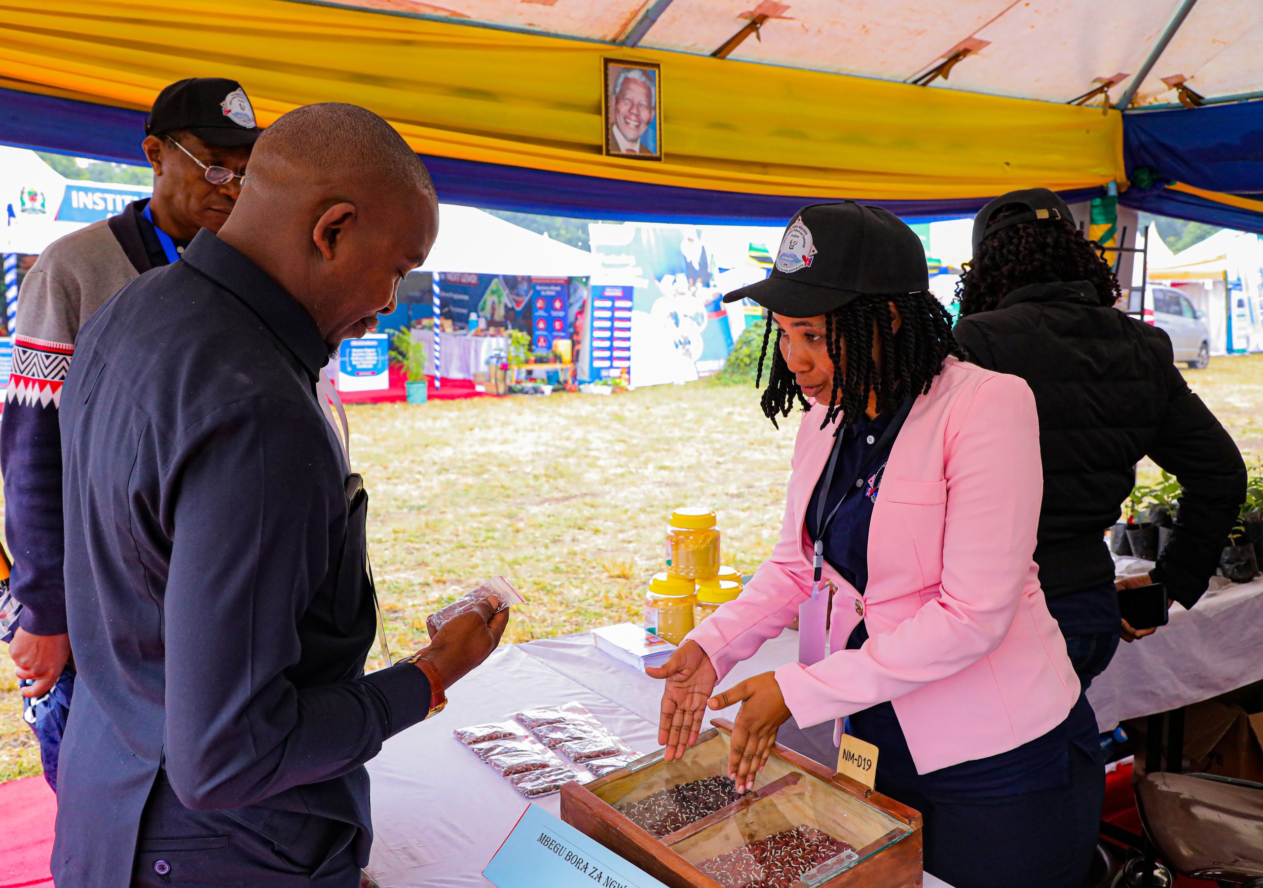 WAKULIMA WASHAURIWA KUTUMIA MBEGU BORA ZA NGWARA ZILIZOBORESHWA KUTOKA ...