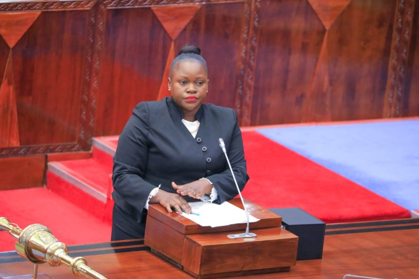 VIJIJI VYOTE TANZANIA BARA KUFIKIWA NA UMEME- MHE. KAPINGA AELEZA ...