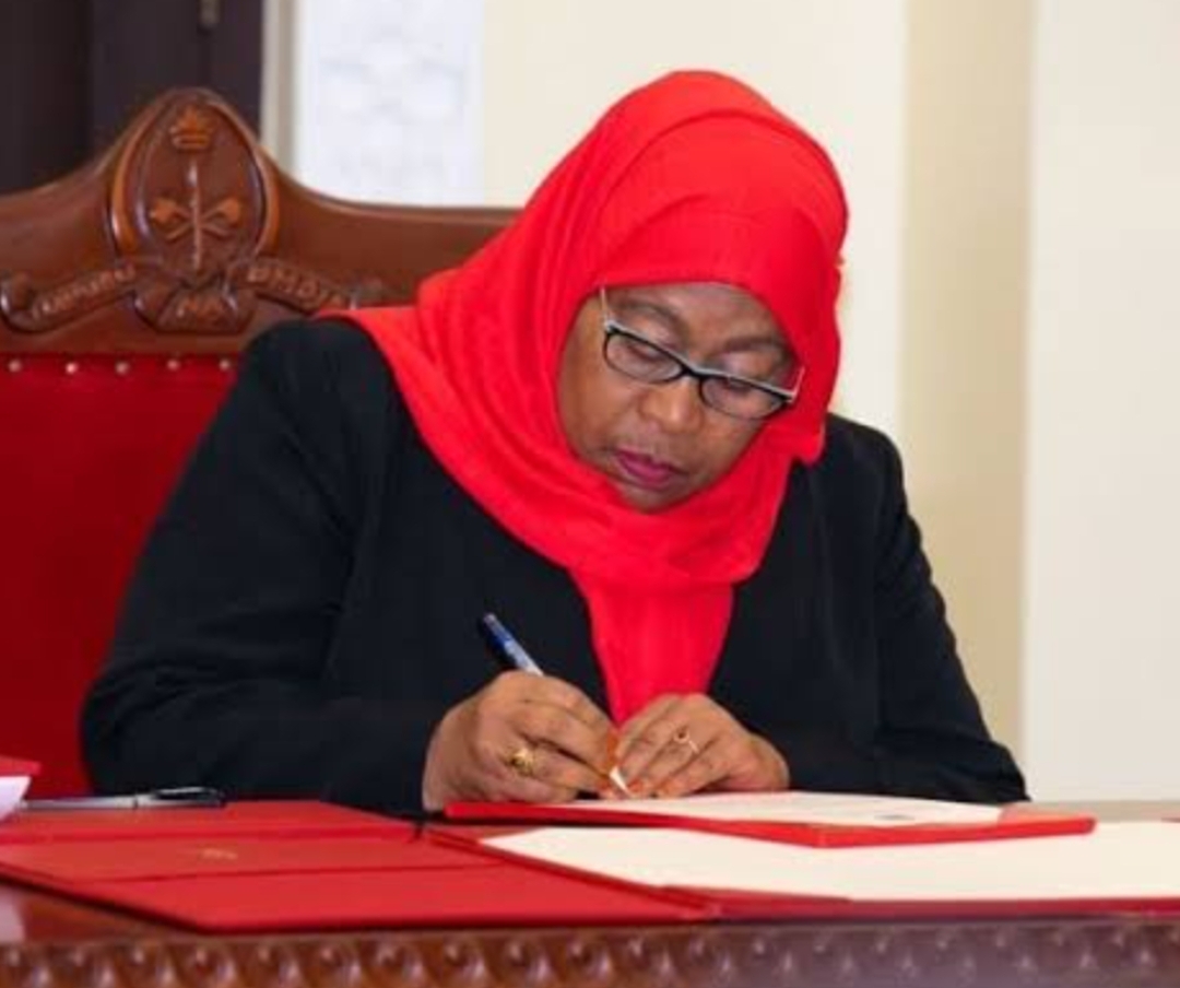 RAIS DKT. SAMIA ATEUA MWENYEKITI WA BODI YA TCRA – Full Shangwe Blog