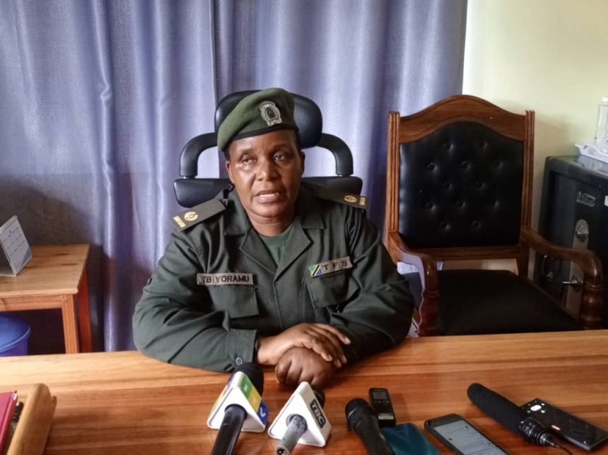 SAO HILL HUZALISHA MICHE MILIONI 5 YA MITI KILA MWAKA – Full Shangwe Blog