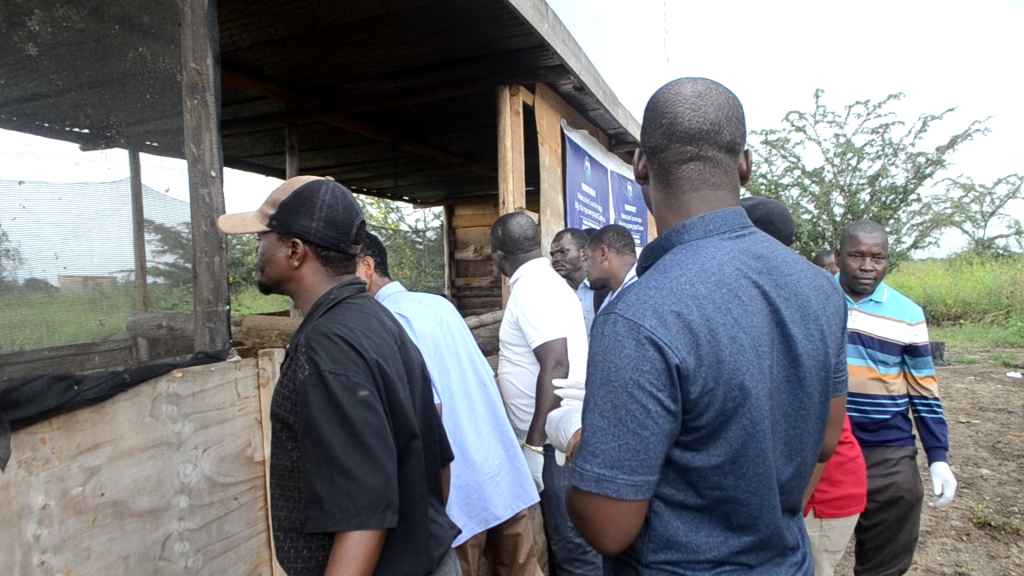 WAKENYA WAIKUBALI NGURUWE PROJECT KATIKA KIJIJI CHA NGURUWE DODOMA ...