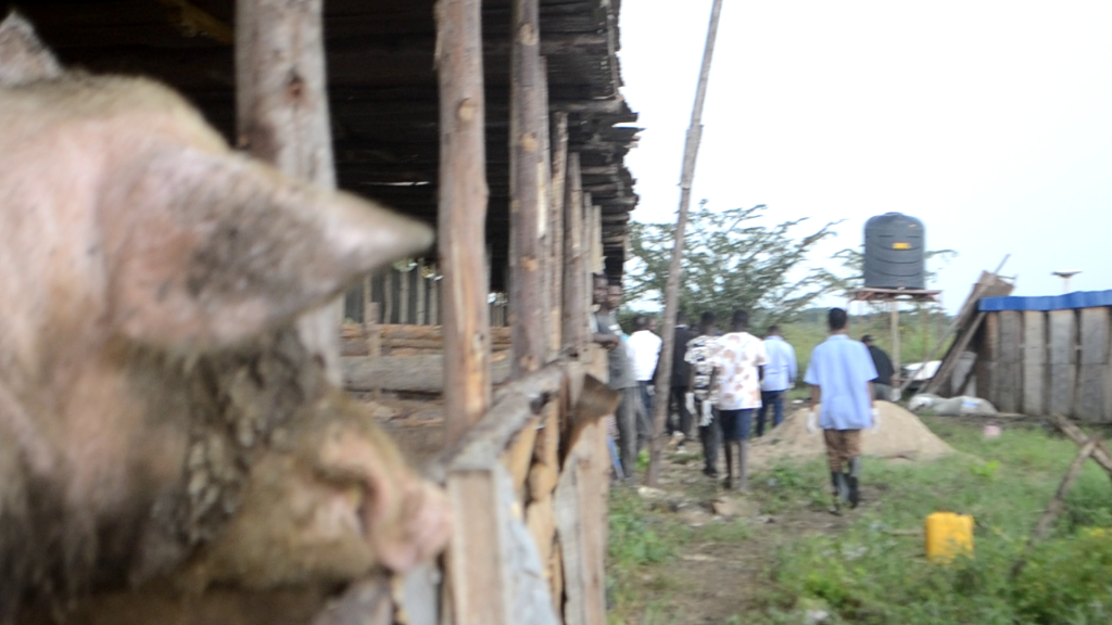 WAKENYA WAIKUBALI NGURUWE PROJECT KATIKA KIJIJI CHA NGURUWE DODOMA ...