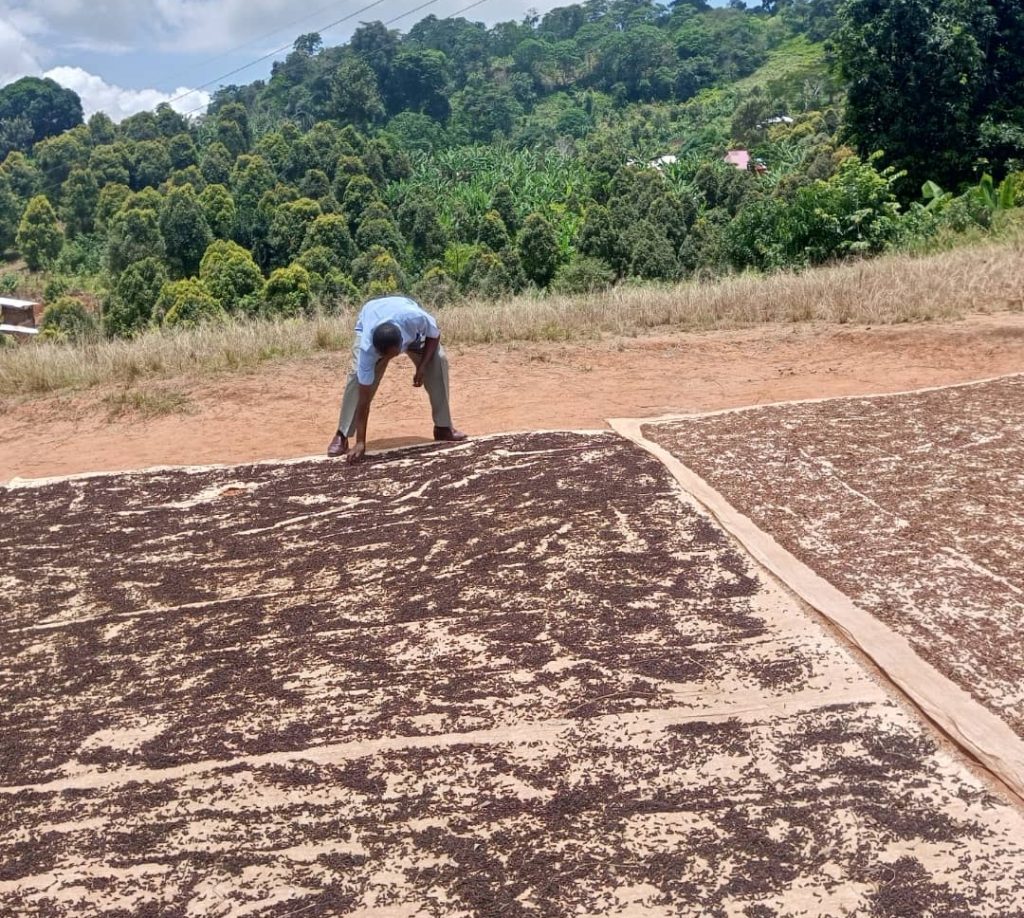 KARAFUU YAONGEZA MAPATO MOROGORO – Full Shangwe Blog