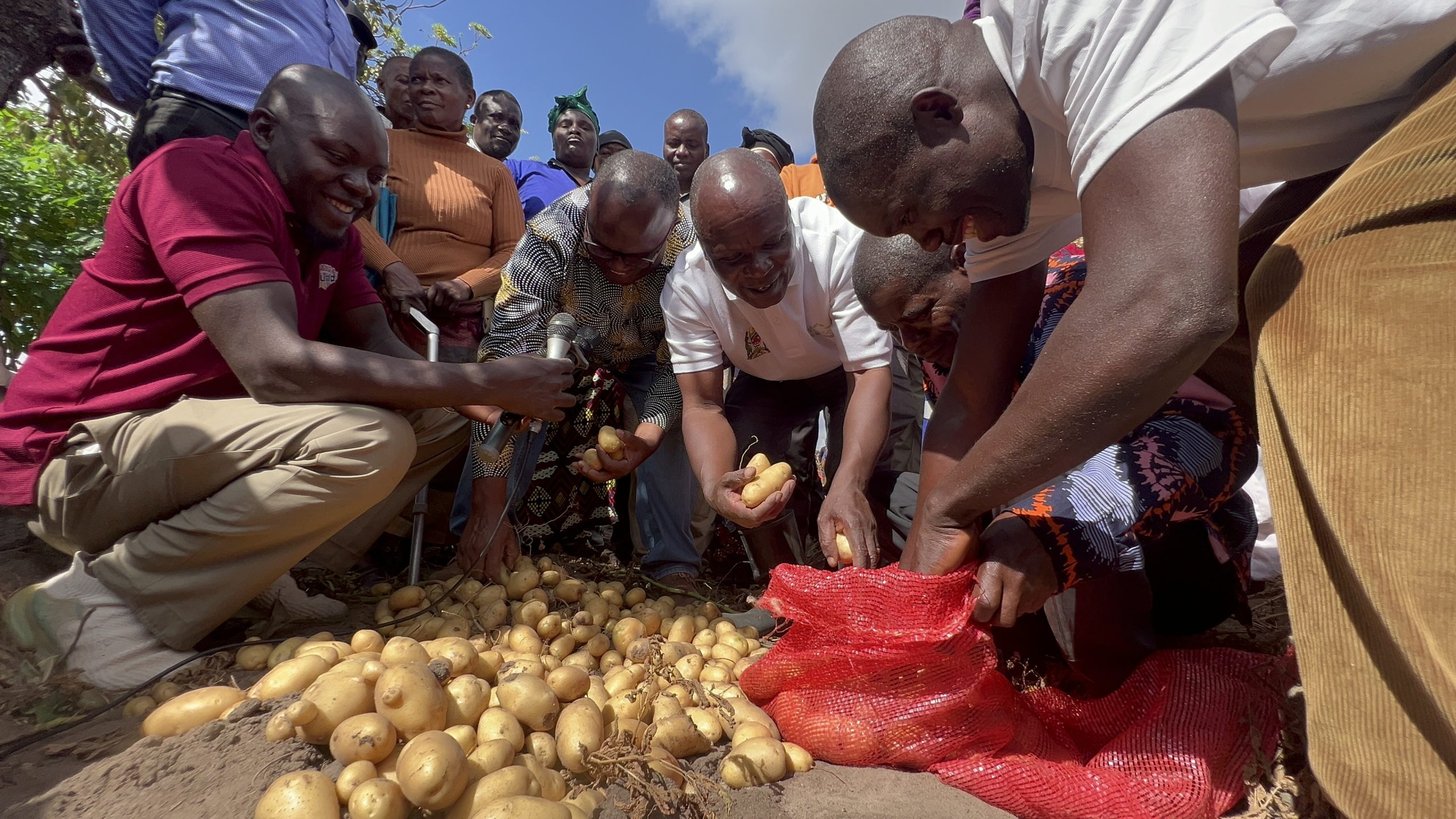 VIAZI MVIRINGO KUANZA KULIMWA RUVUMA-UTAFITI – Full Shangwe Blog