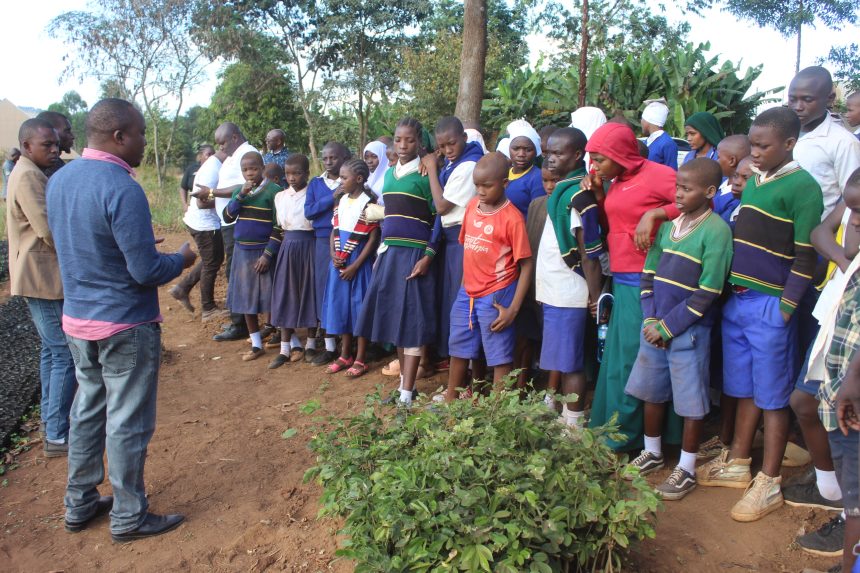 SHIRIKA LA UHIFADHI MAZINGIRA DUNIANI WWF LAWAJENGEA UWEZO WANAFUNZI ...