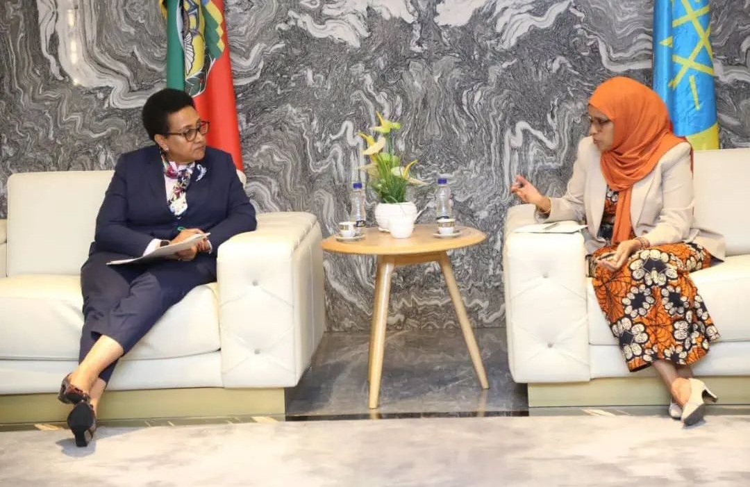 WAZIRI WA ULINZI ZIARANI NCHINI ETHIOPIA – Full Shangwe Blog