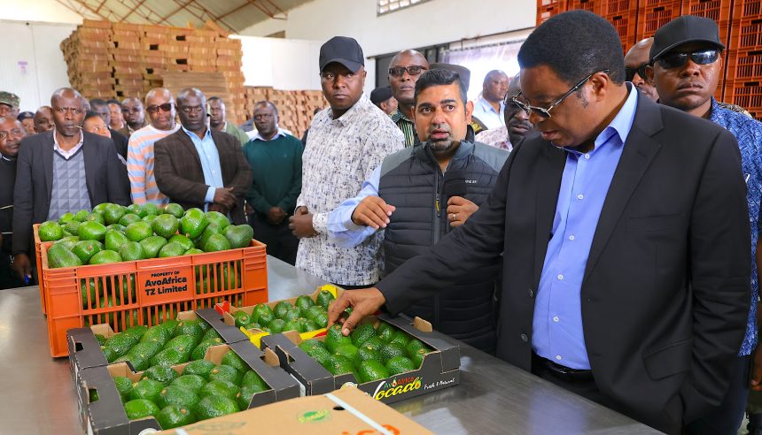 WAZIRI MKUU ATEMBELEA KIWANDA CHA KUCHAKATA PARACHICHI MKOANI NJOMBE ...