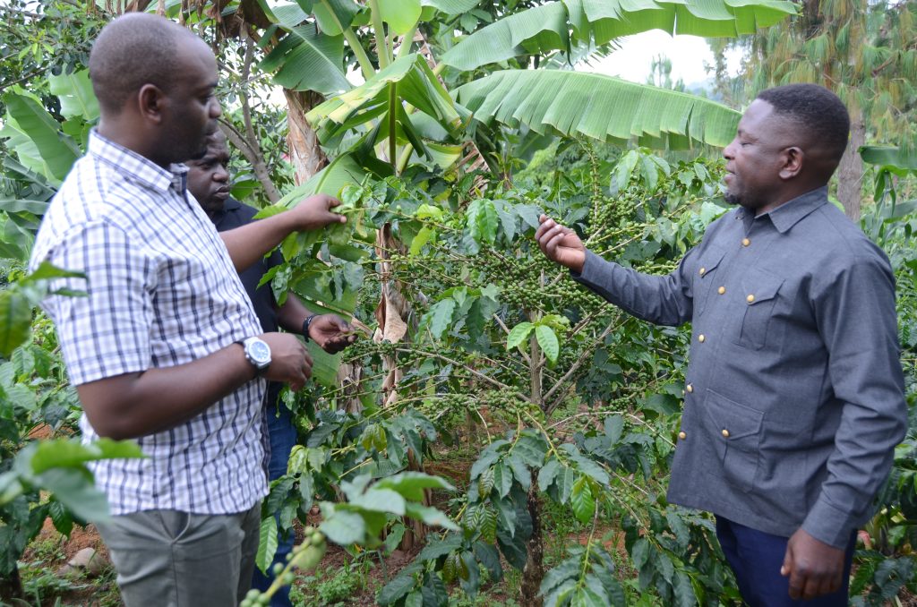 WAKULIMA MALINDINDO WAMSHUKURU RAIS SAMIA KUTOA MBOLEA ZA RUZUKU – Full ...
