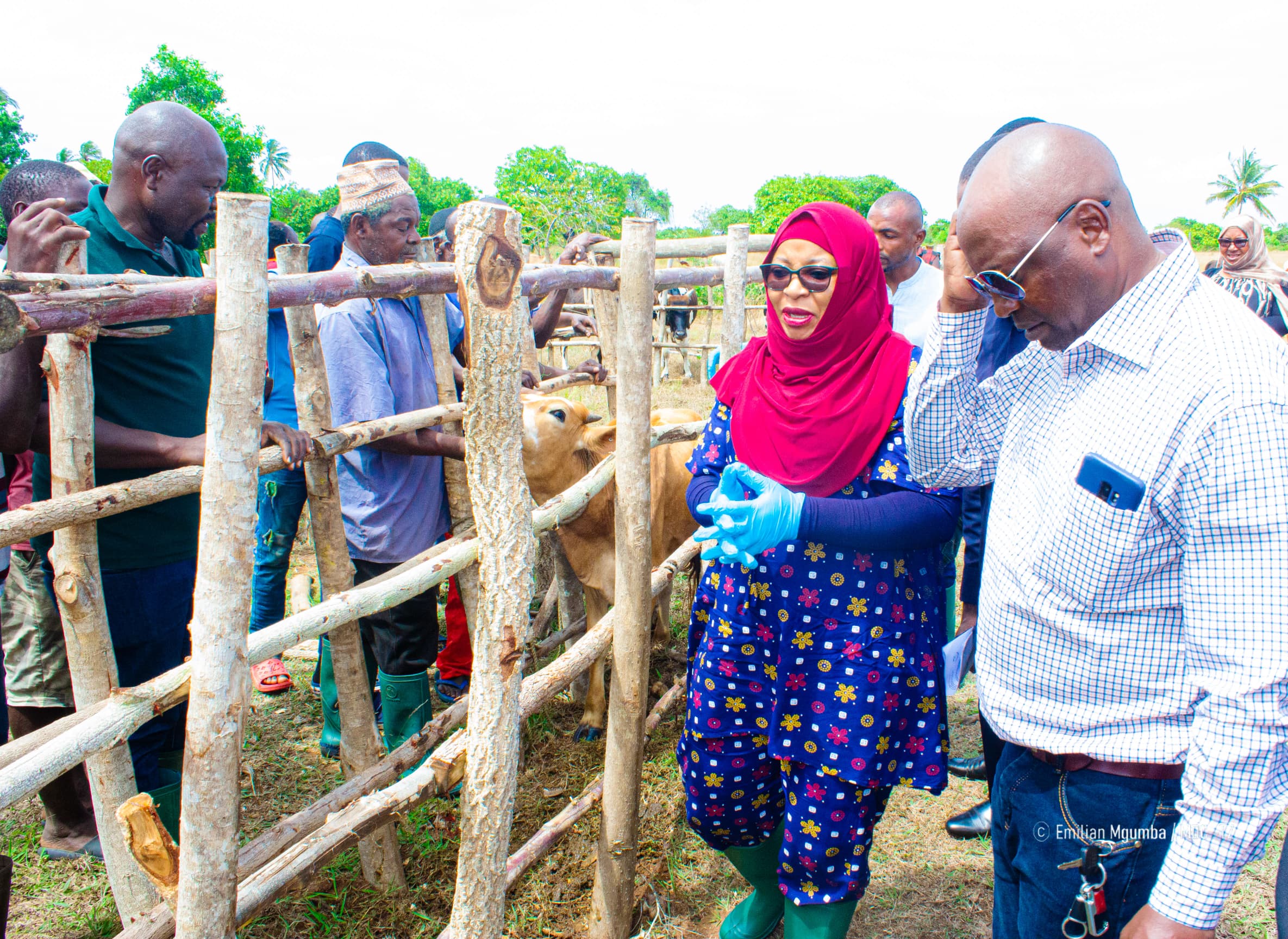 DC MANGOSONGO AAGIZA KUTENGWA MAENEO MAALUM YA MALISHO NA CHANJO KWA ...