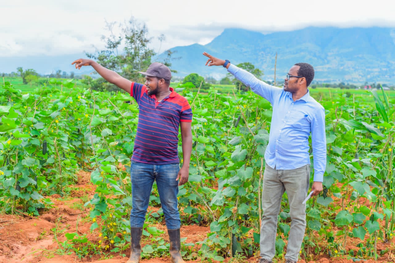 UWEKEZAJI WA BIL. 49 UNAVYOOKOA WAKULIMA WADOGO KOROGWE – Full Shangwe Blog